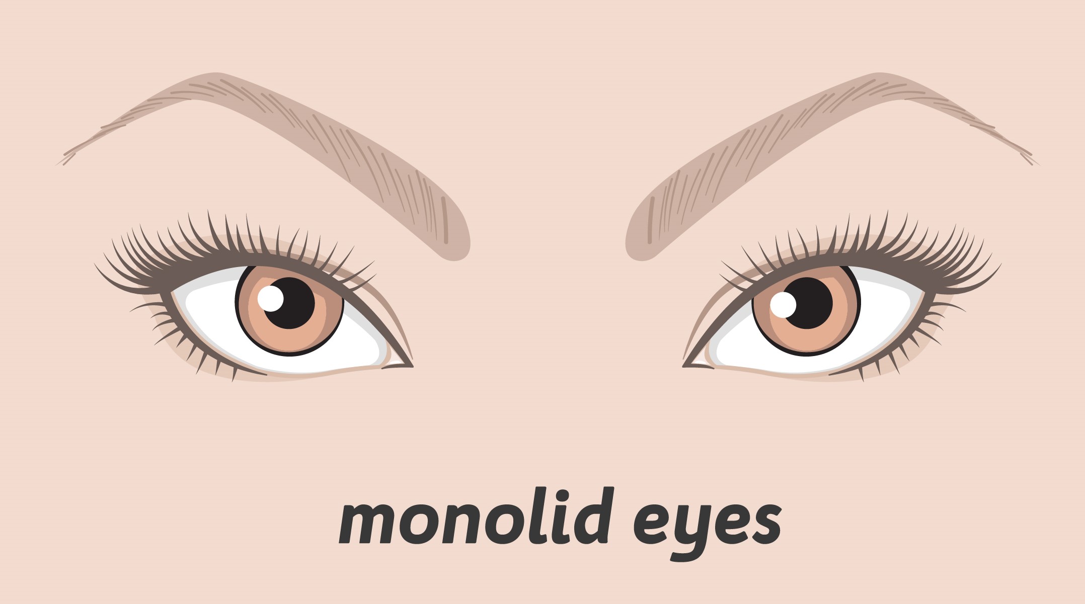 Monolid Eyelid Shape: Definition & Treatment